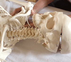 sharonwheeler.com | Welcome to Sharon Wheeler Fascial Work